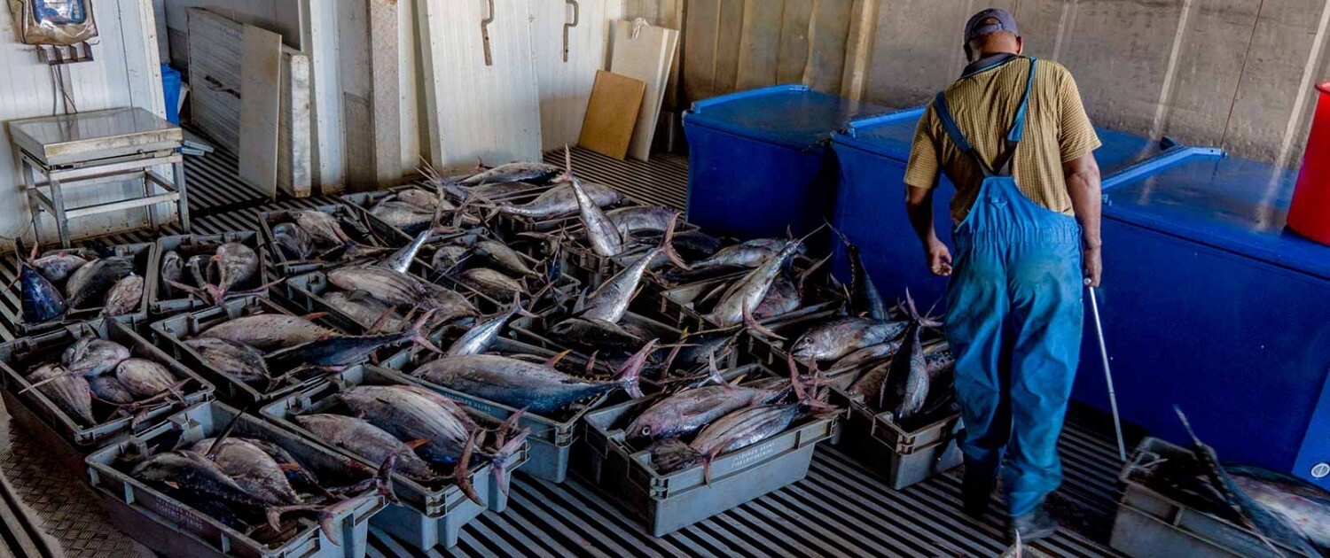 FairFishing - Copenhagen, Denmark - Project Cargo Weekly