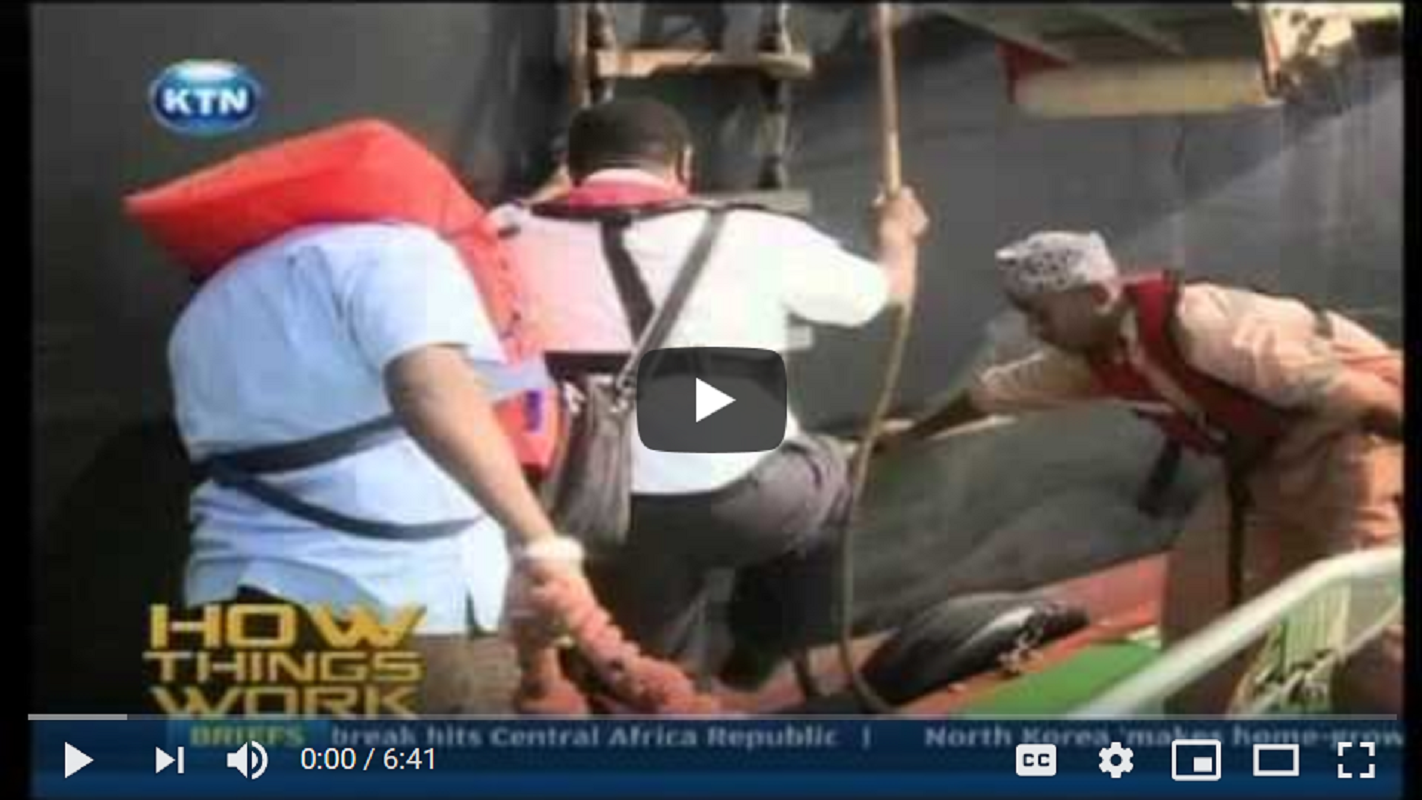 Week #41 - 2019 - Project Cargo Weekly