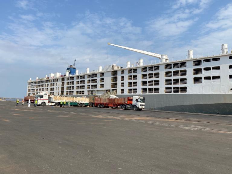 RA Logistics - Muscat, Oman - Project Cargo Weekly