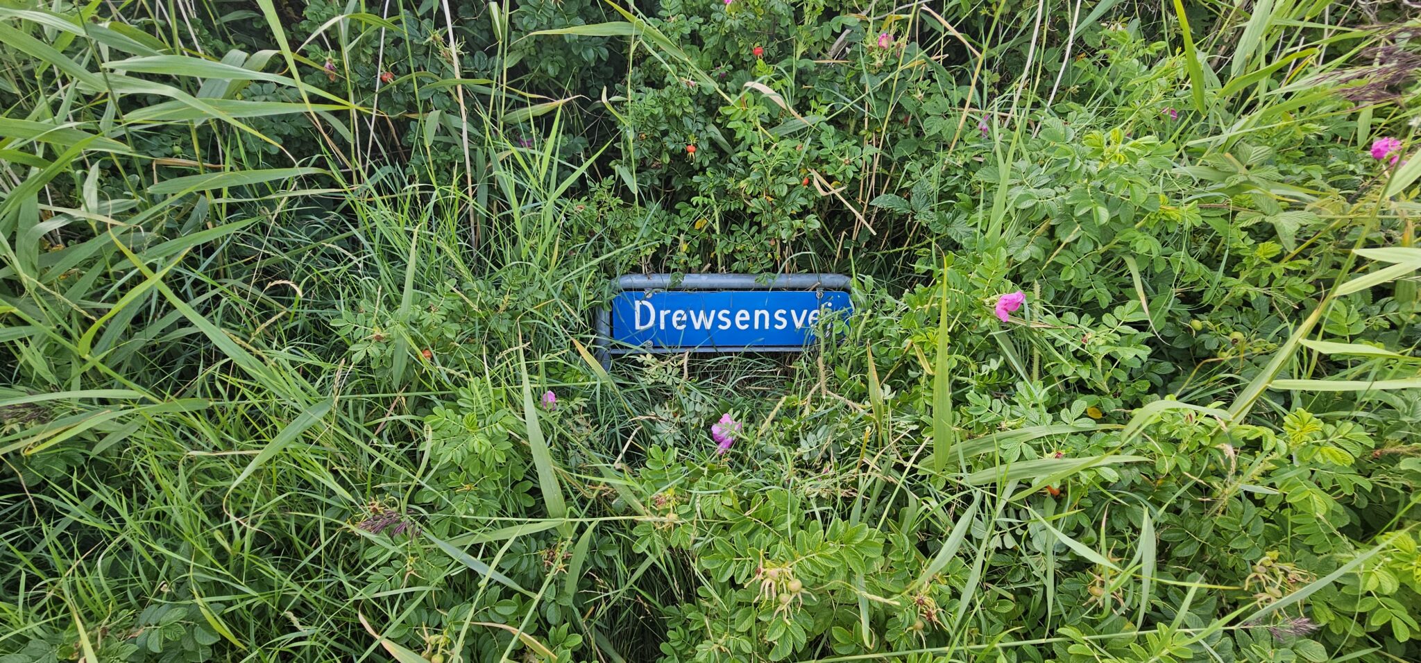 PCW Travel Photos - July 2024 - Project Cargo Weekly